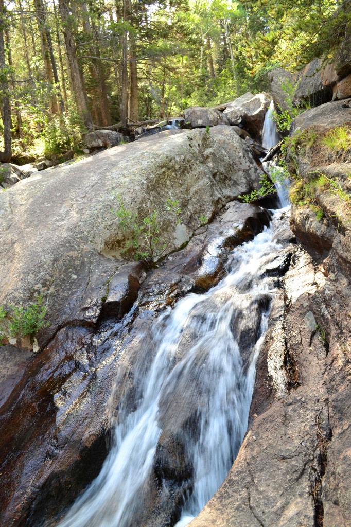 RMNP: Mummy Range and Old Fall River Road – Take a Walk