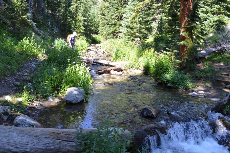 Father Dyer Peak via the East Ridge, 13,615 ft – Take a Walk