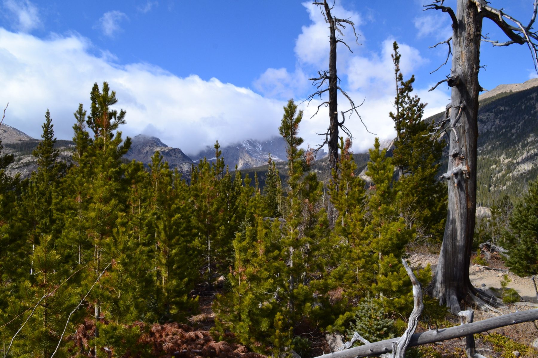 Bluebird Lake Rocky Mountain National Park – Take a Walk
