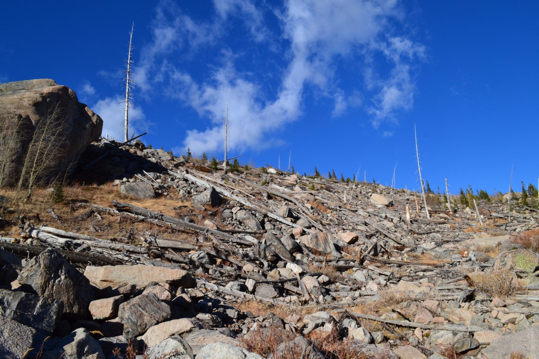 Bluebird Lake Rocky Mountain National Park - Take a Walk